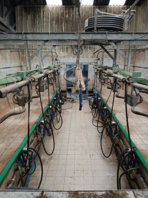 2x5 milking parlour Declared year: 1999 Claw system chang... - 84999067 ...
