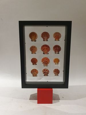 Un cadre vitré avec contour en bois noir et embase en boi... - 84755676 ...