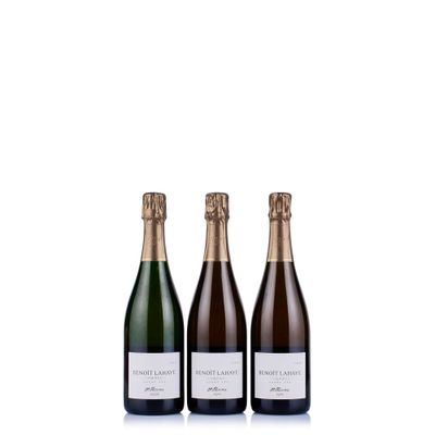 580. † Champagne Benoît Lahaye, Millésime, Grand Cru, 200... - 85332007 ...