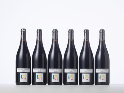 6 Bouteilles NUITS 1er CRU 2015 Domaine Prieuré-Roch (74... - 84781096 ...