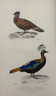 BUFFON (Georges-Louis Leclerc de), Georges CUVIER et Étie... - 85333183 ...