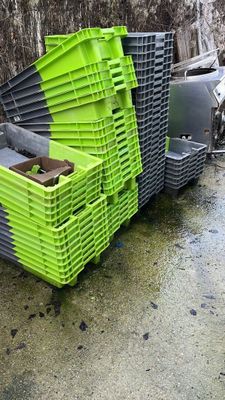 Pack of approx. 125 PVC trays in various models - 85110330-151 ...