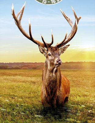 GAME FAIR - HUNTING WEAPONS, auction, on June 13th, 2026 in Blois ...