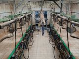 2x5 milking parlour Declared year: 1999 Claw system chang... - 84999067 ...