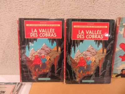 17 - DEUX ALBUMS ZO ET ZETTE, LA VALLEE DES COBRAS 14... - 85124622-17 ...